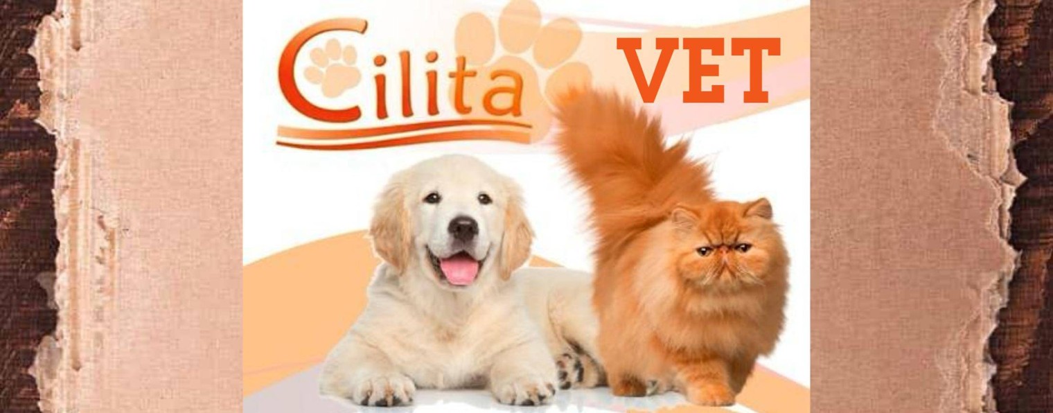 Цилита-Вет отзывы и новости