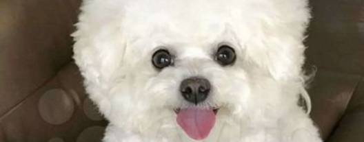 Веселая семейка из Сибири