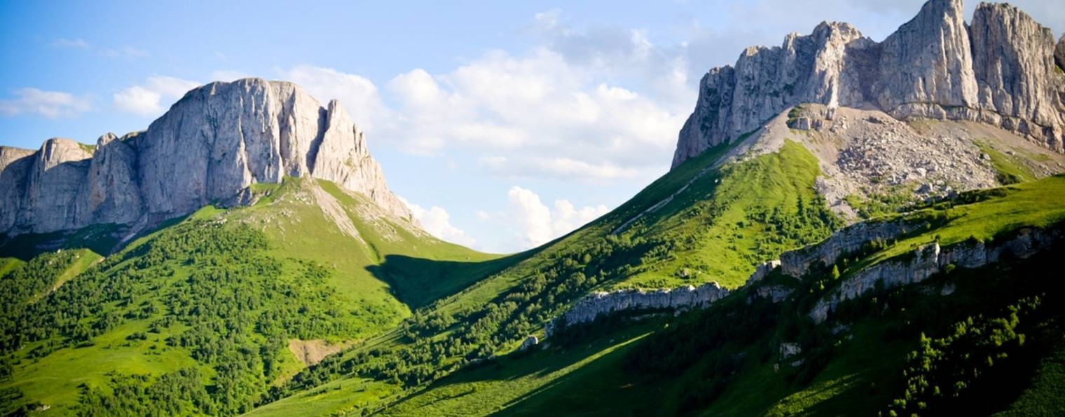 Дымовой (ИП Бреднев Е.В.)