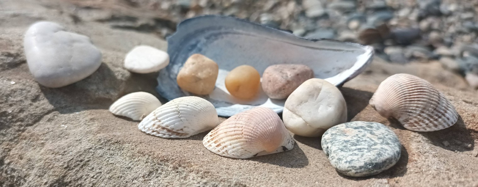 Антон Трухмаев