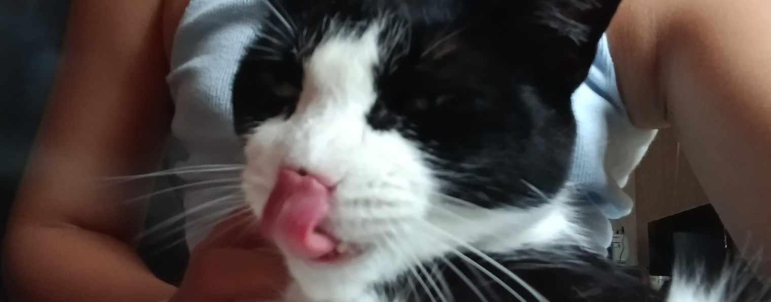 ♥Чайный пакетик «Феликс»♥