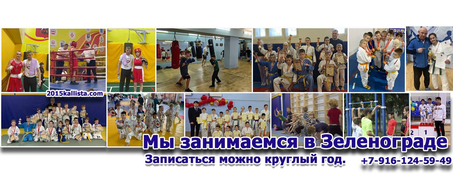 Зеленоград. Дзюдо. Каратэ. Бокс. Джиу-джитсу.ММА.