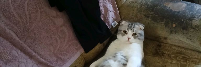 Г. Мед. Велли💘