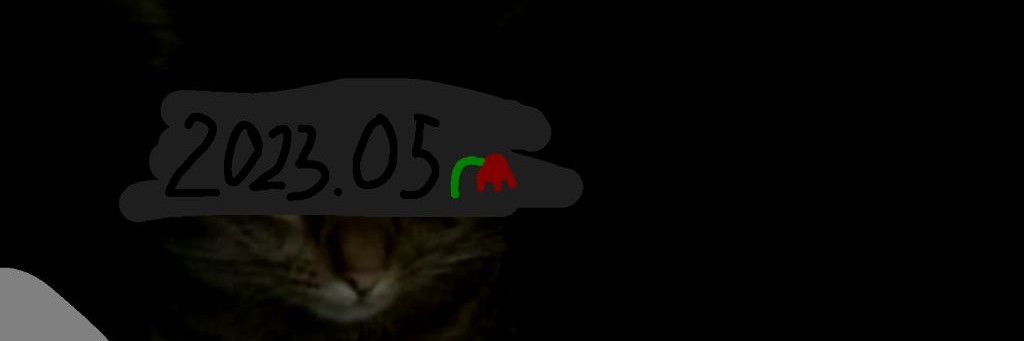 Murka50cat_666
