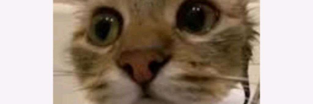 Глентуз🎙️😑👍