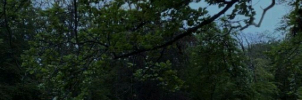 Реакции Гача лайф (Перезаливы!!)