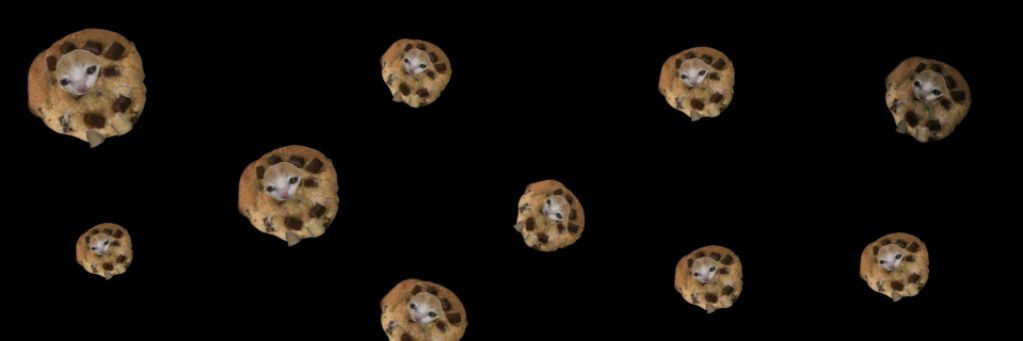 Cookie 🍪