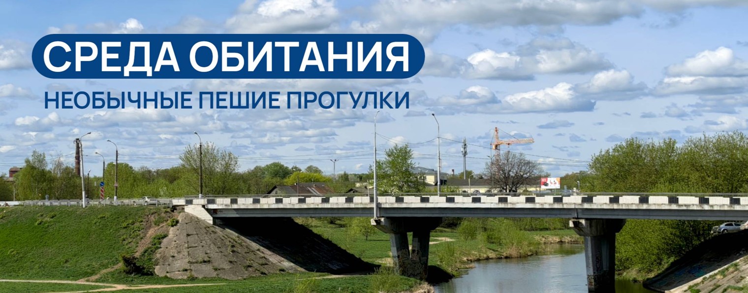 Среда обитания