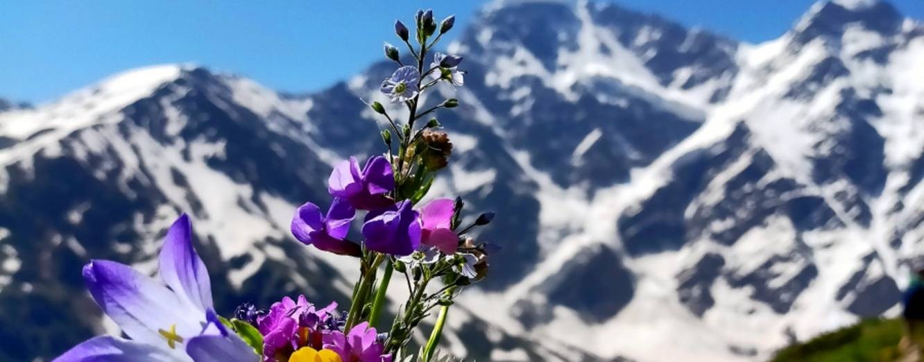 АвтоДама На Перевалах