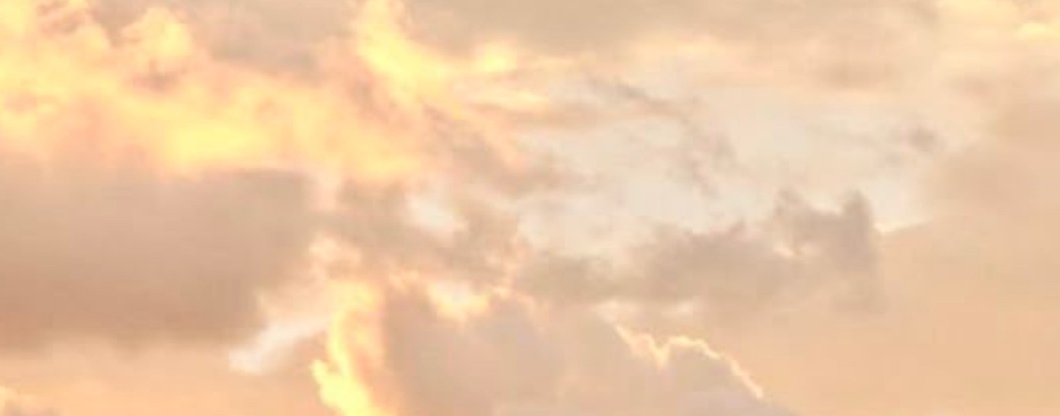 Шевченко Ирина | КРИЗИСНЫЙ ПСИХОЛОГ