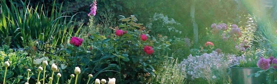 Кузница Qgarden