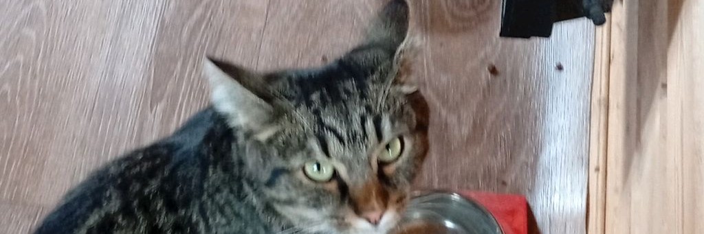 Игра Крафт 127 Rootoob