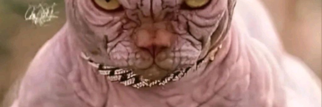 Диско Музыка