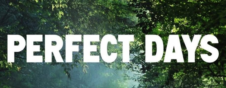Идеальные дни