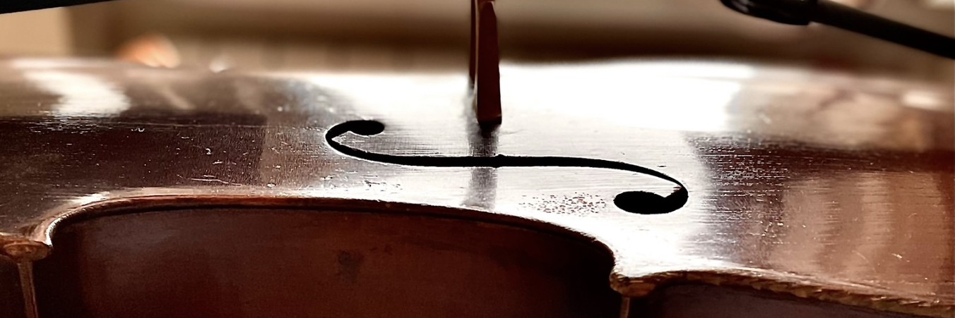 Fusion Cello