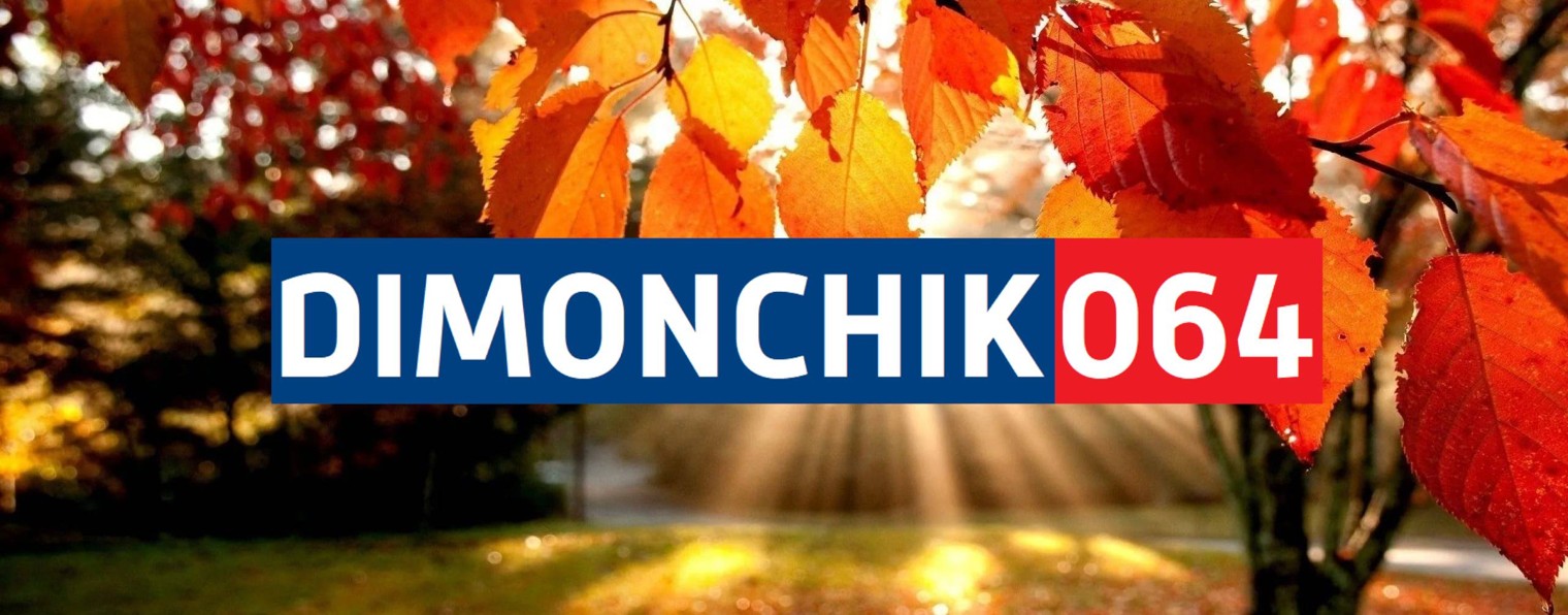 DIMONCHIK 064