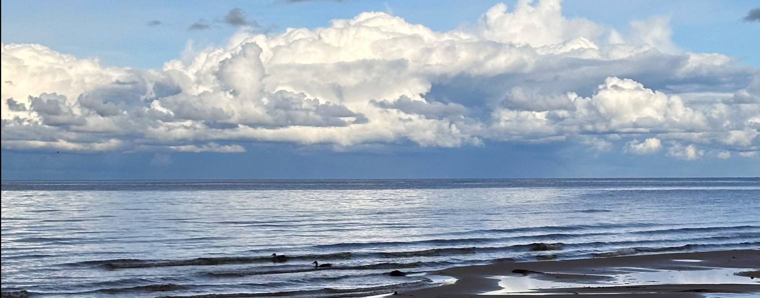 Видеть жизнь