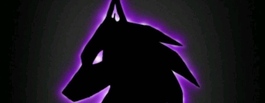 коте на стим