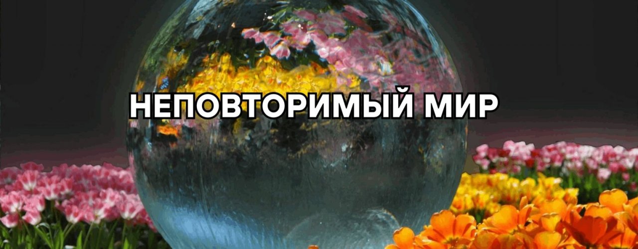 НЕПОВТОРИМЫЙ МИР