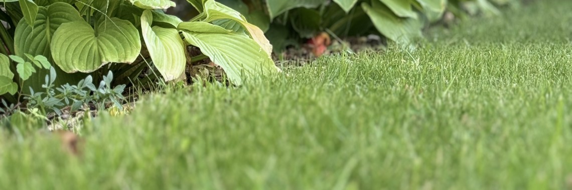 Все лучшее в тебе