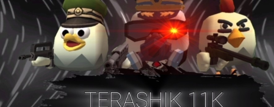 TERASHIK 11k