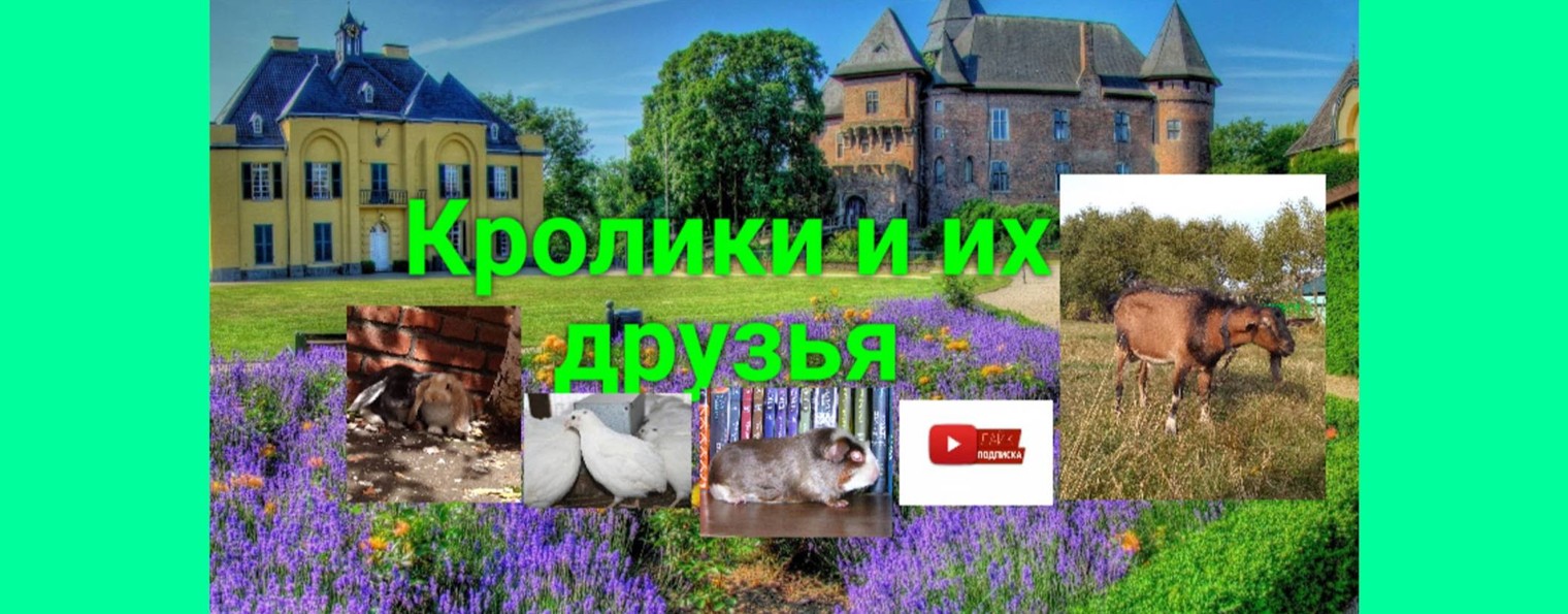 КРОЛИКИ И ИХ ДРУЗЬЯ BIG HAPPY BUNNIES