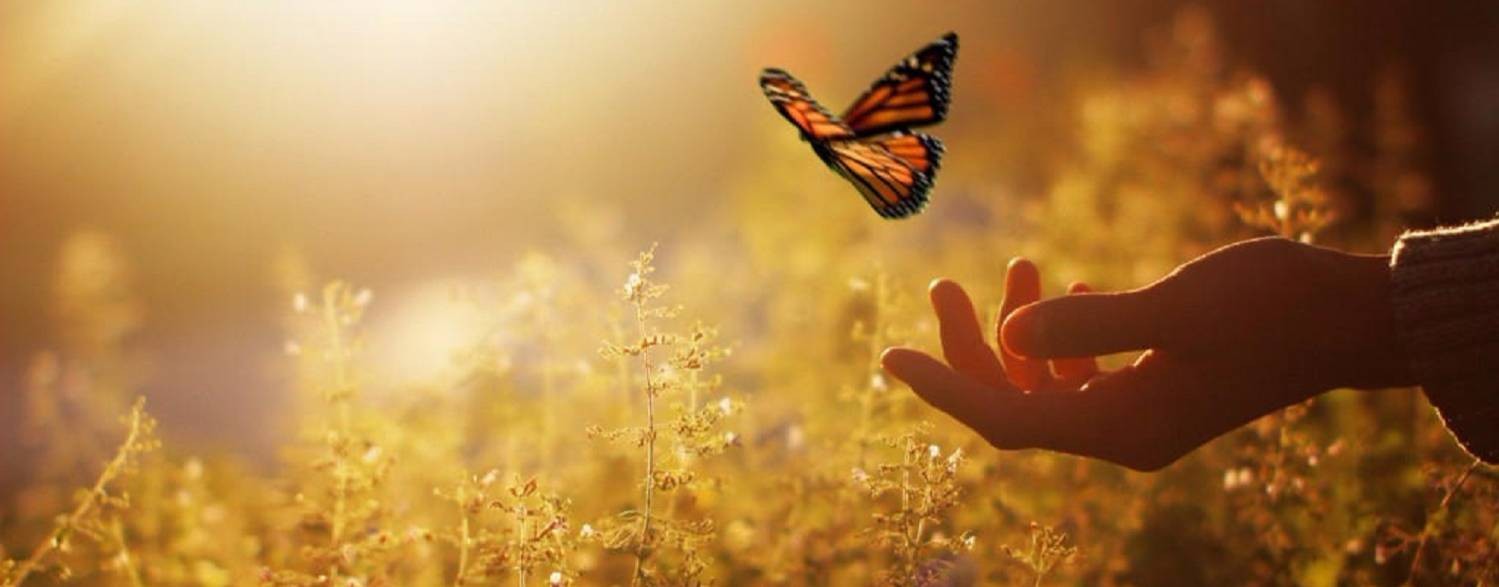 Песни со смыслом