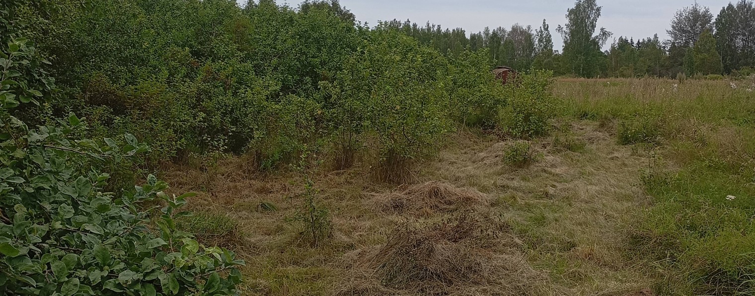 Вселенная Кладоискателя- Коллекционера