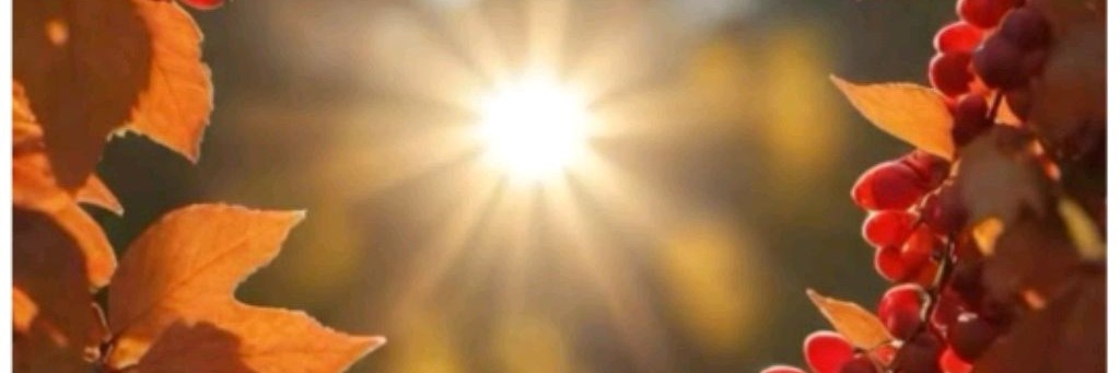 Рамзия Таро 🪬