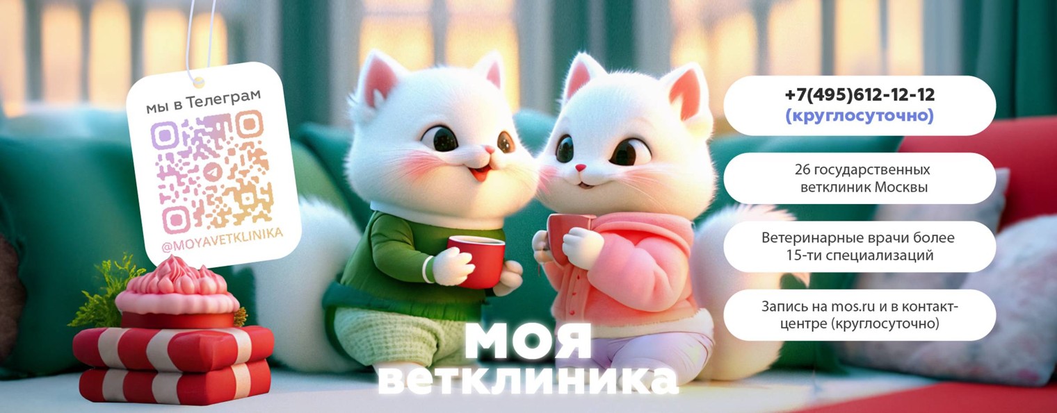 Моя Ветклиника