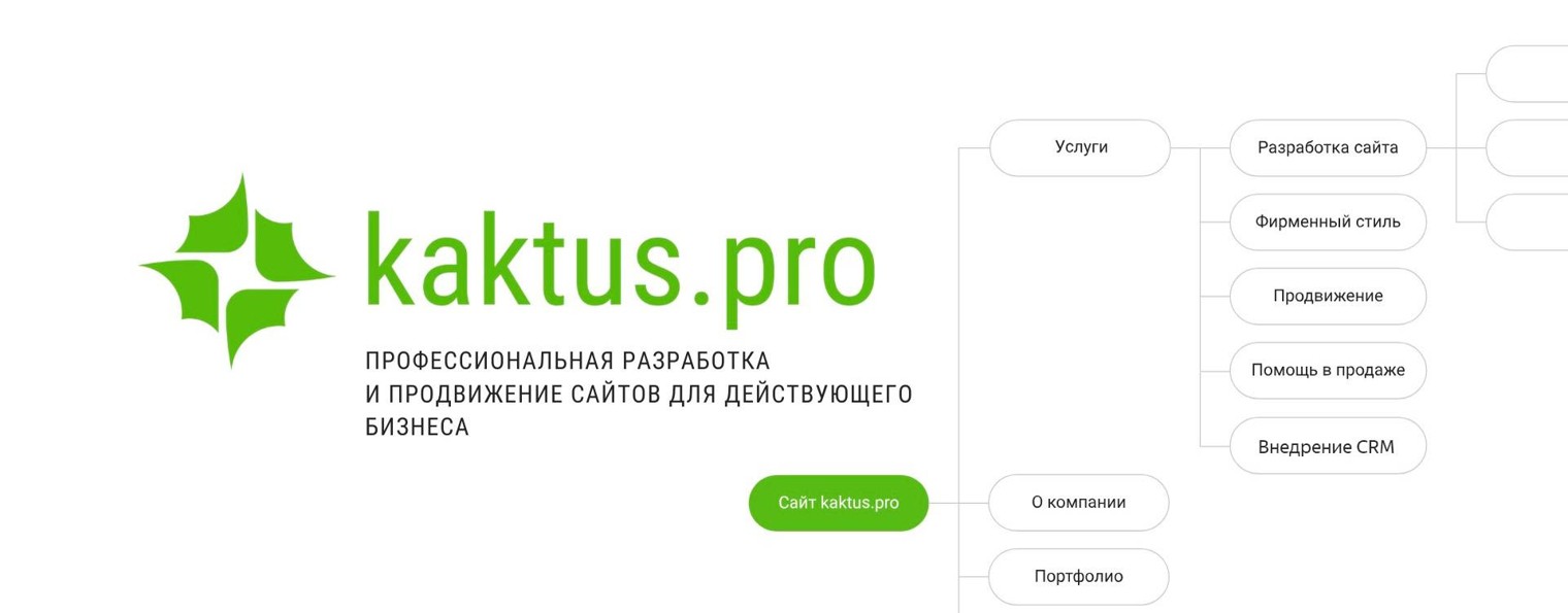 Kaktus.pro