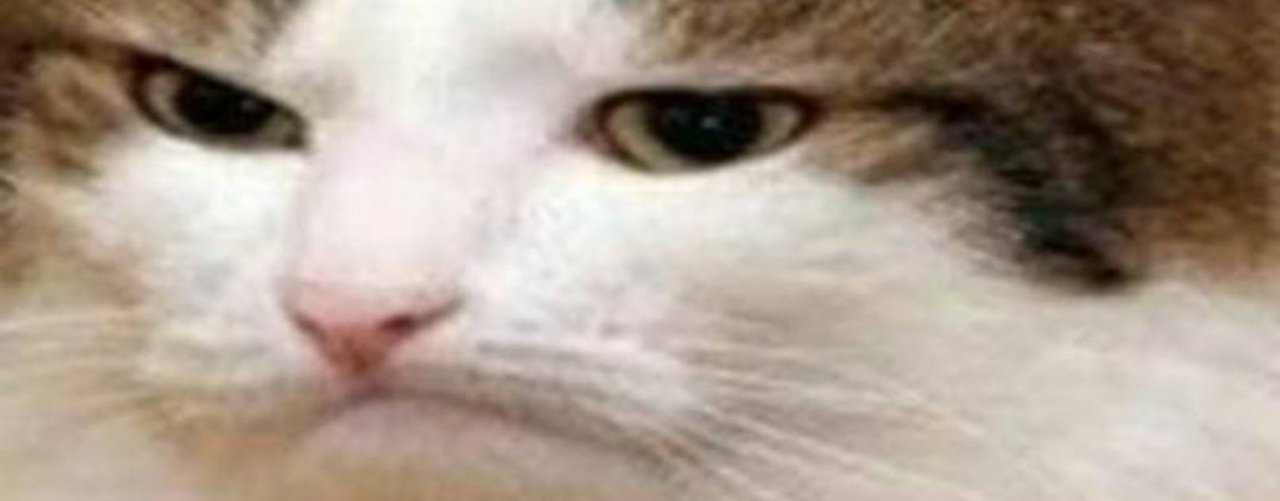 подвал ярЫка