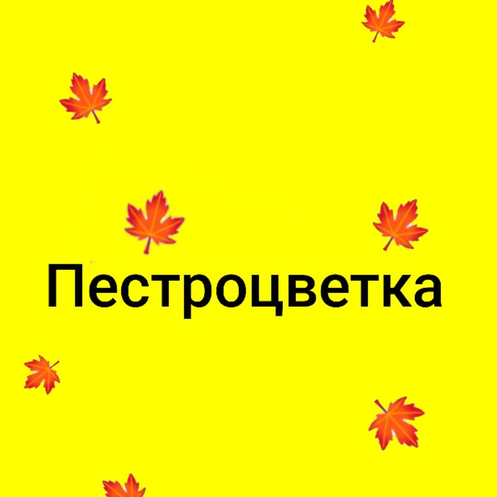 🍁Пестроцветка🍁