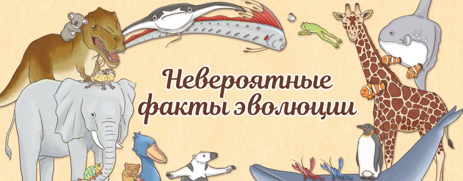 Сериал Невероятные факты эволюции / Zannen na Ikimono