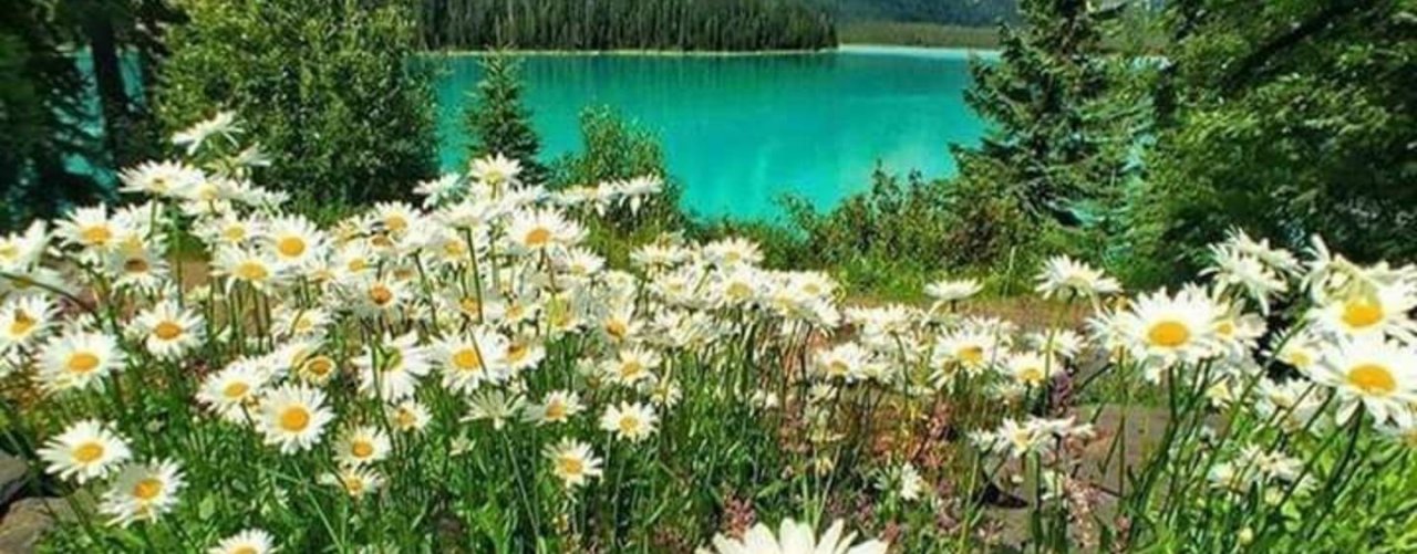 ГАРЯЕВ МАТРИЦЫ слушать онлайн mp3 WAVEGENETICS.RU