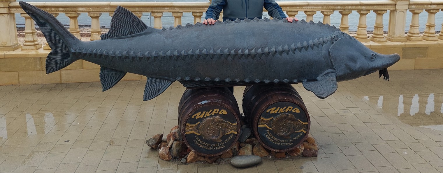 олег шевцов