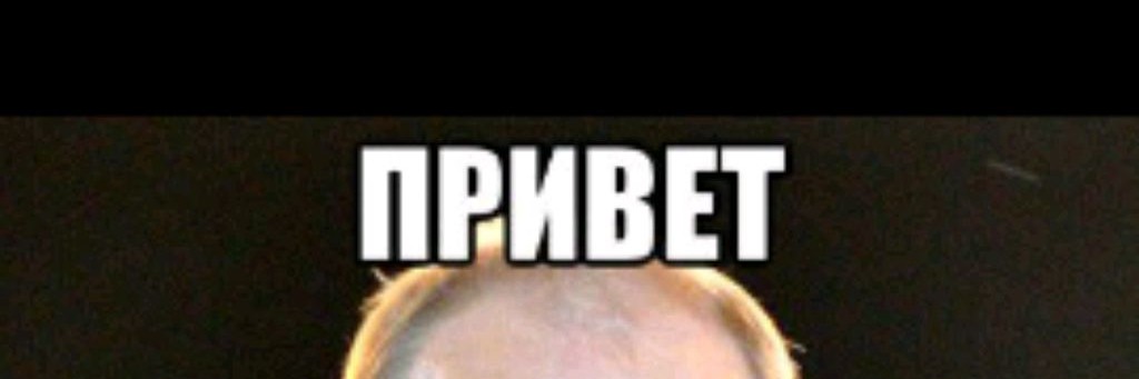 Котики И Макаки