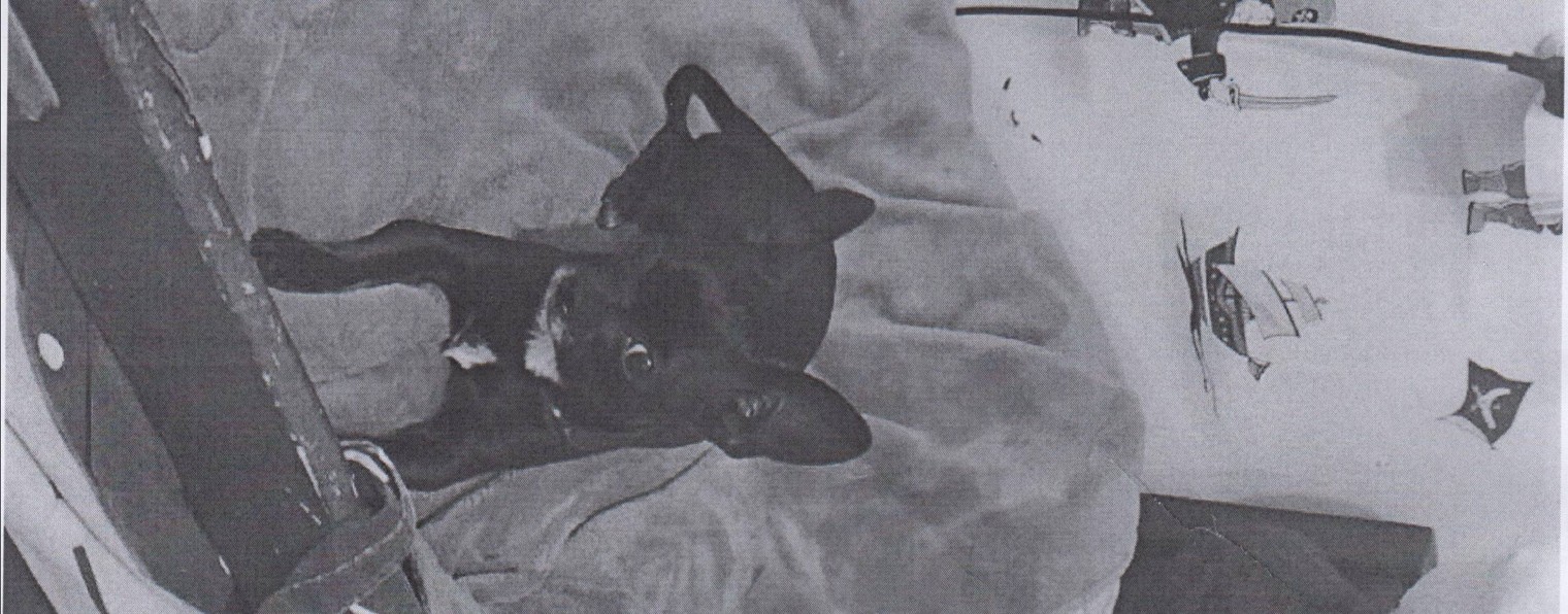 Супер Геймер