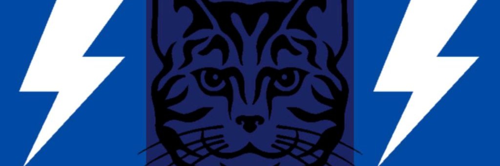 Путешественник2025