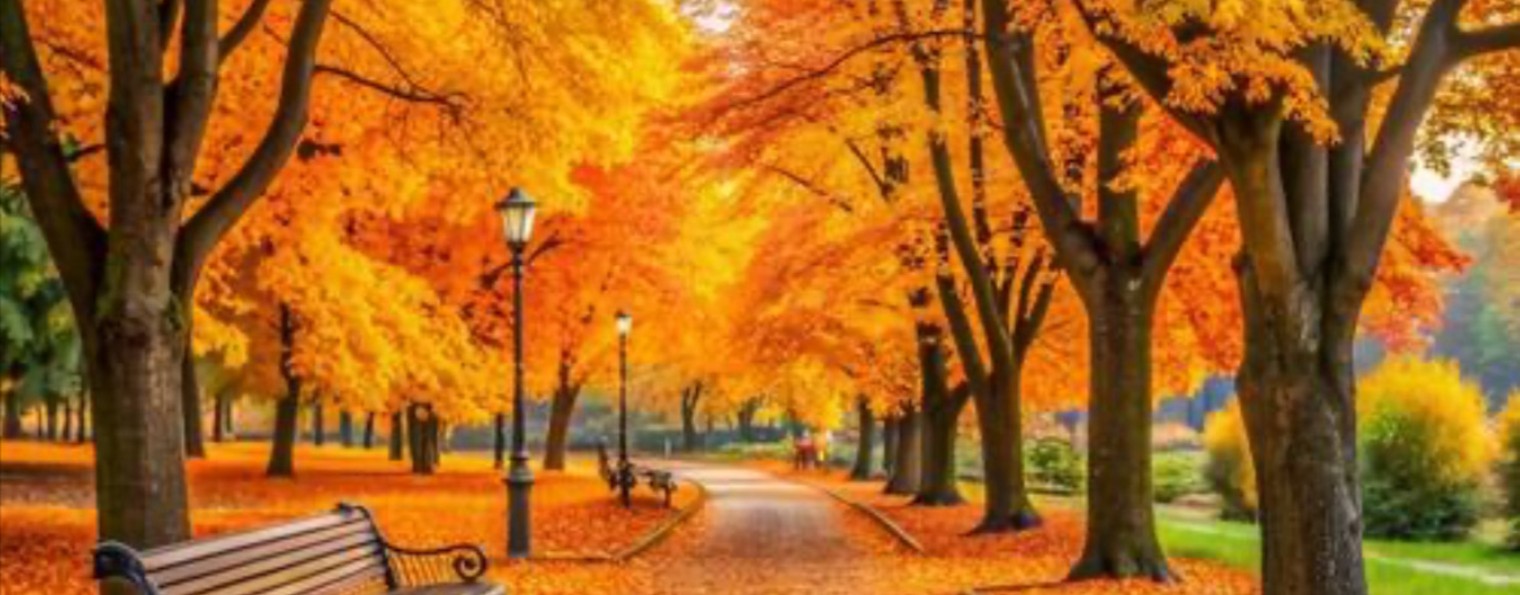 Басики тут  😚