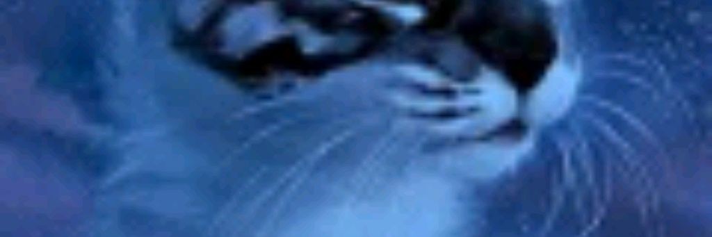 А ну-ка Давай-ка