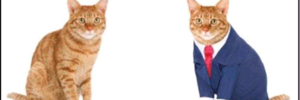 Красная Кнопочка3