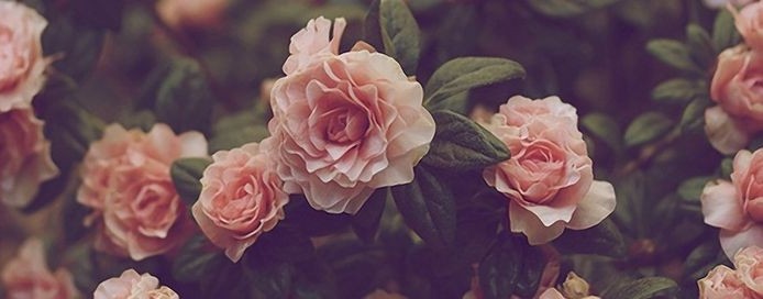 Жизнь через увлечения