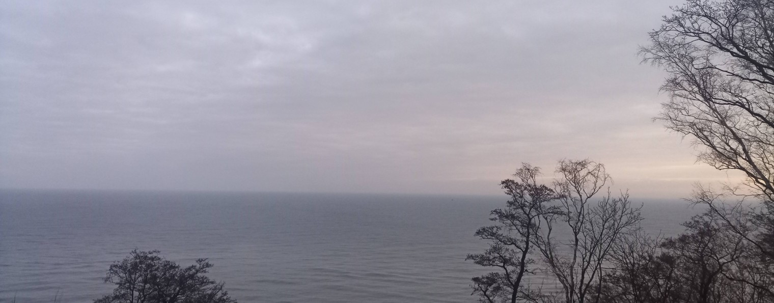 Территория мира