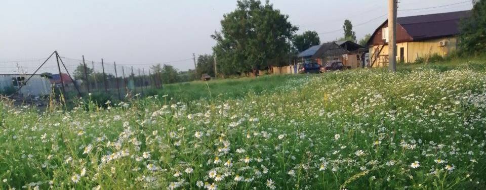 Новая жизнь в станице Мартанская