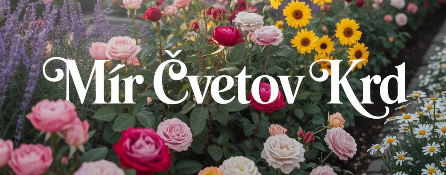 MirCvetov_krd