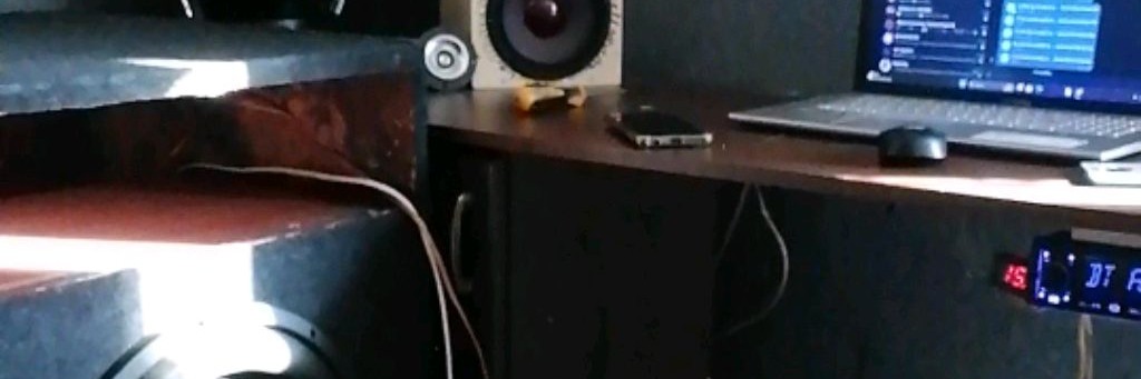 Динамик 221 2.0