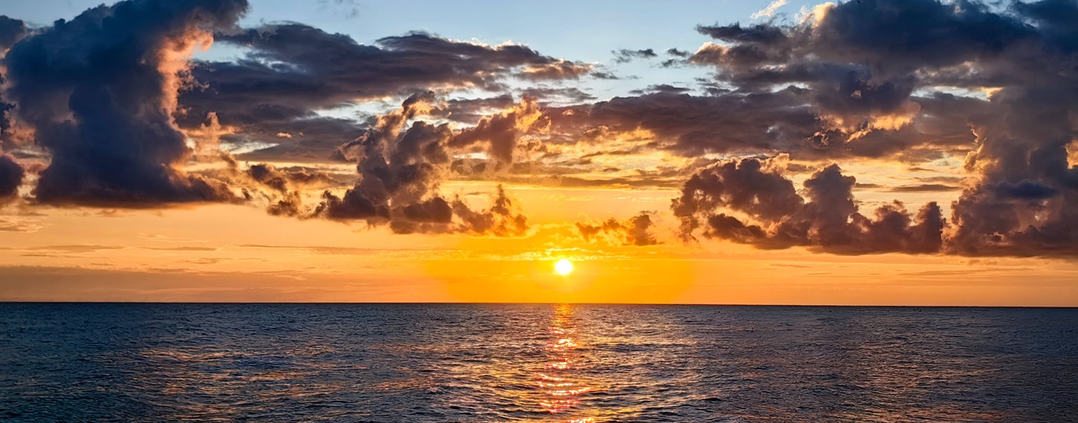 Назад к природе