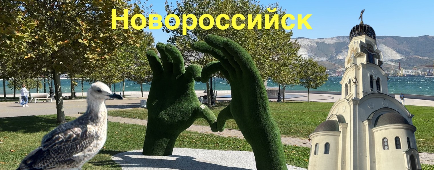 Андрей Ко