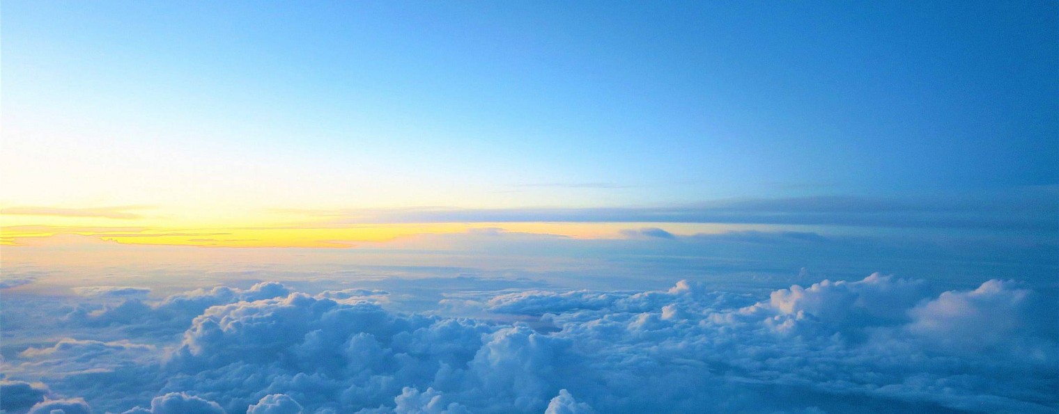 Русская Интегральная Школа Искусств "Рита"